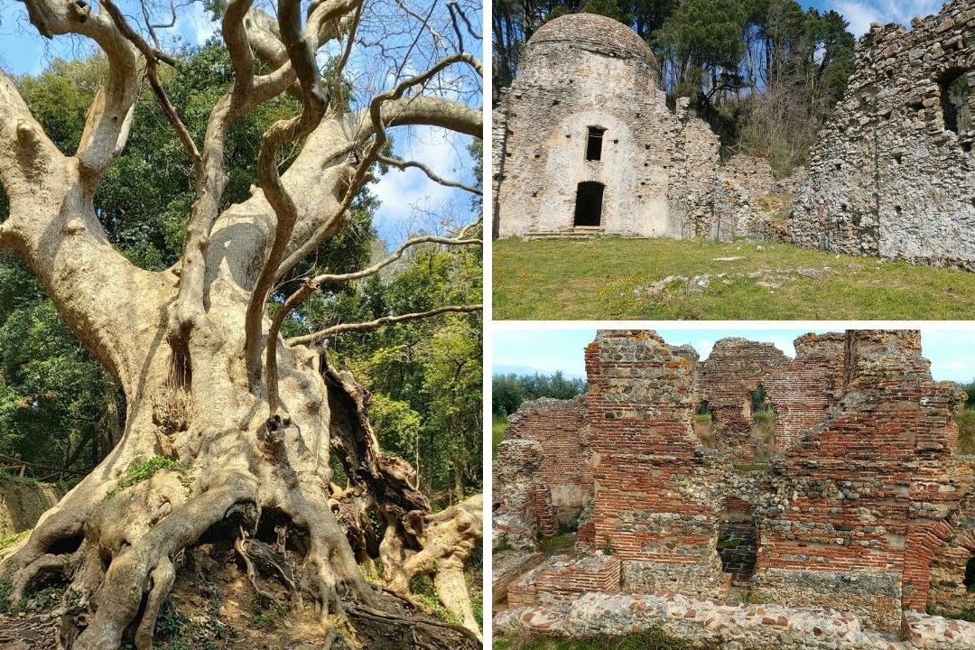 Non solo il platano millenario, Curinga è una bellezza tutta da scoprire