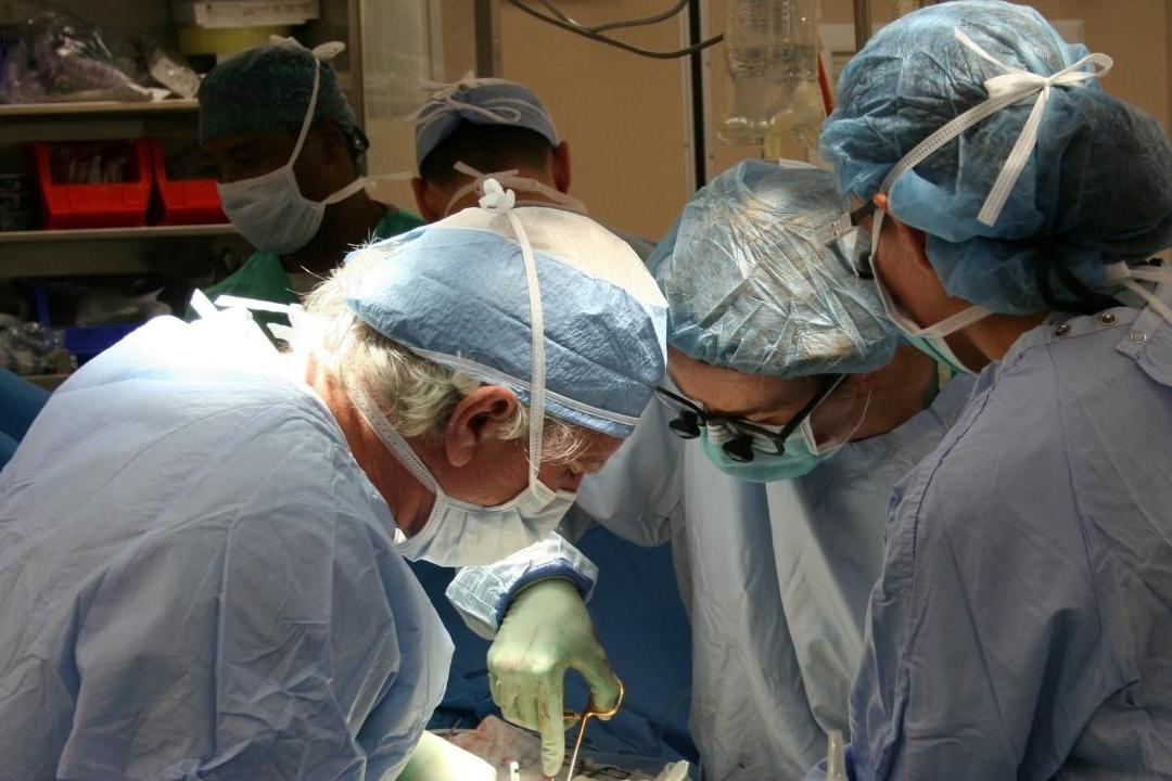 Trapianti, la Calabria è ultima tra le regioni italiane per la ...