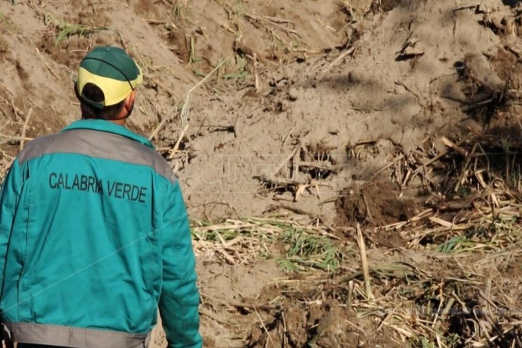 Calabria Verde sospende il bando per consulenti dopo le dichiarazioni ...