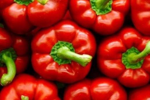 Due giorni di celebrazioni per il peperone roggianese