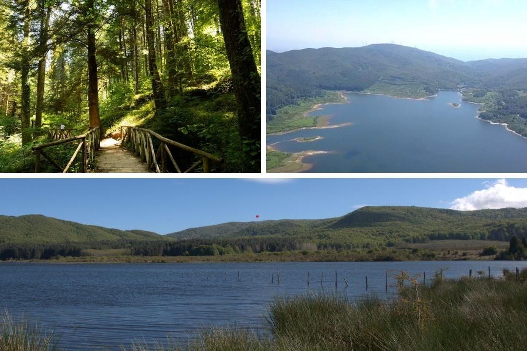 Il lago Lacina, tra le province di Vibo e Catanzaro un bacino ...