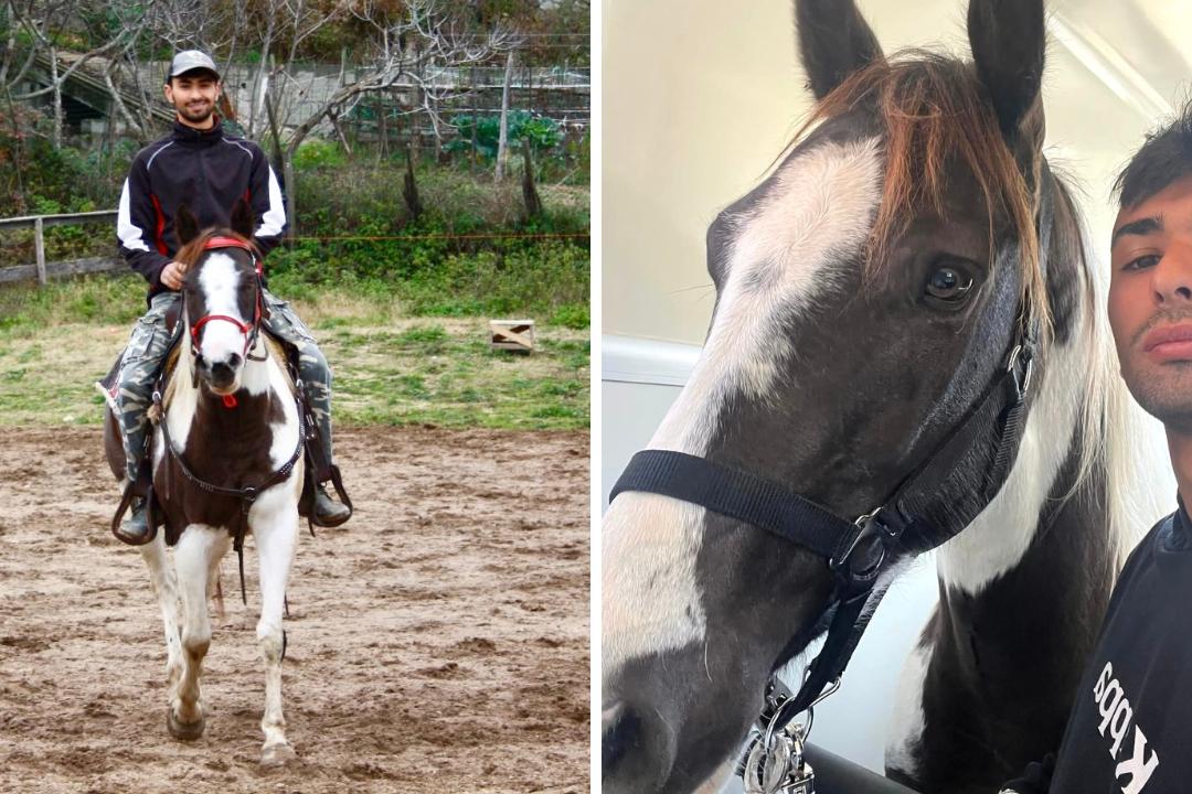 Ha 21 anni e i cavalli sono il suo mondo, Christian: «Così ho imparato ...