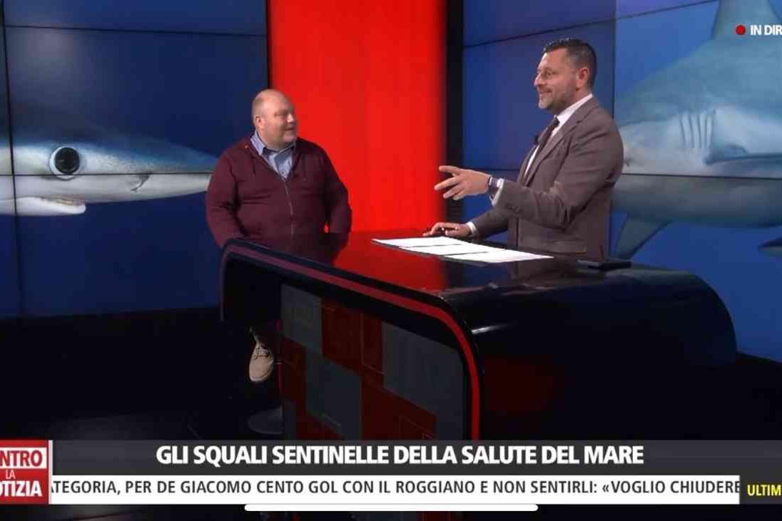Il professore che studia gli squali per capire come sta il mare ...