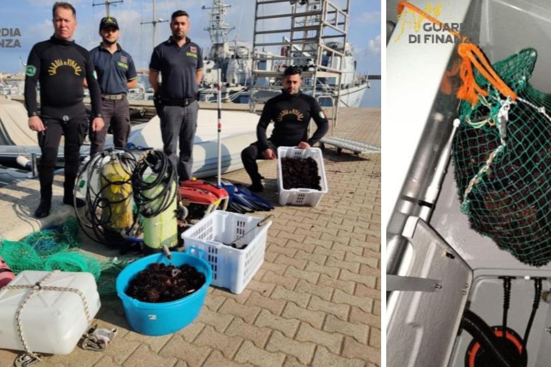 Sorpresi quattro bracconieri mentre depredavano ricci di mare nel ...