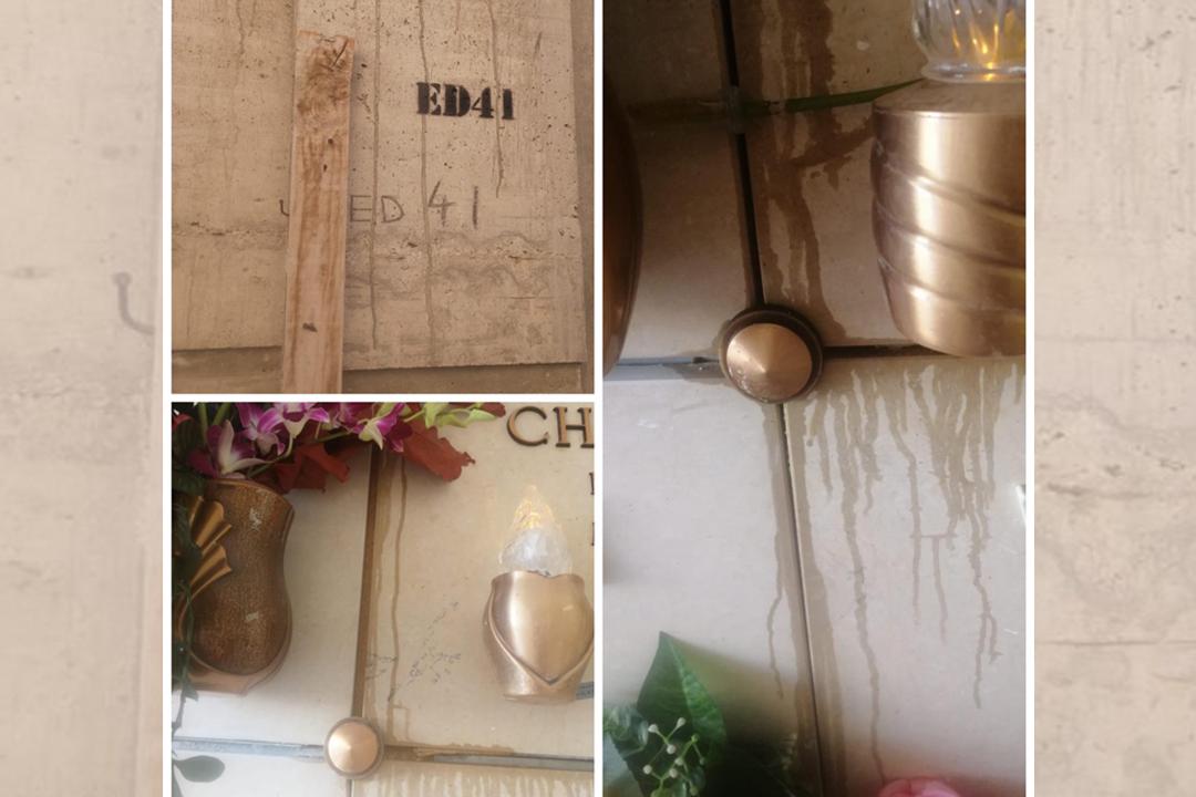 Rende, liquido maleodorante fuoriesce da una bara al cimitero. La ...