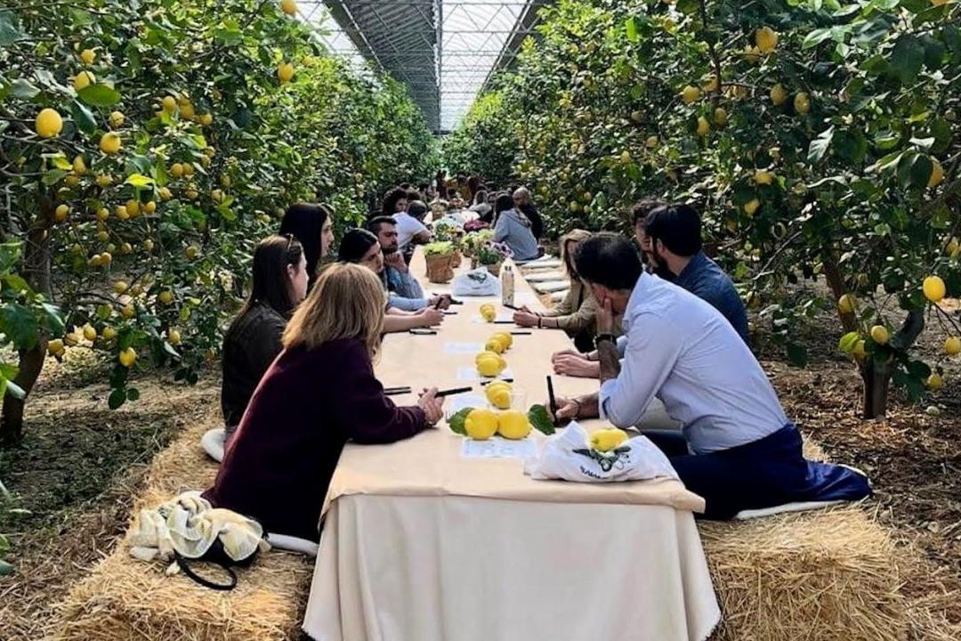 Energia e colture, a Scalea il primo convivio agrivoltaico