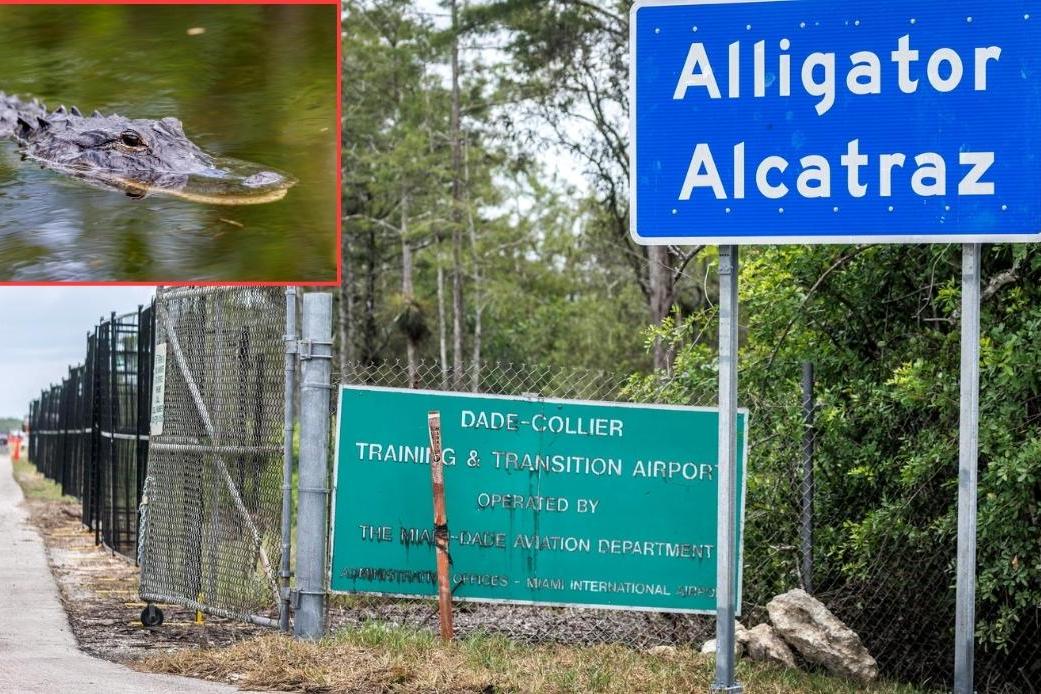 Alligator Alcatraz, straziante appello dell’italiano detenuto in Florida