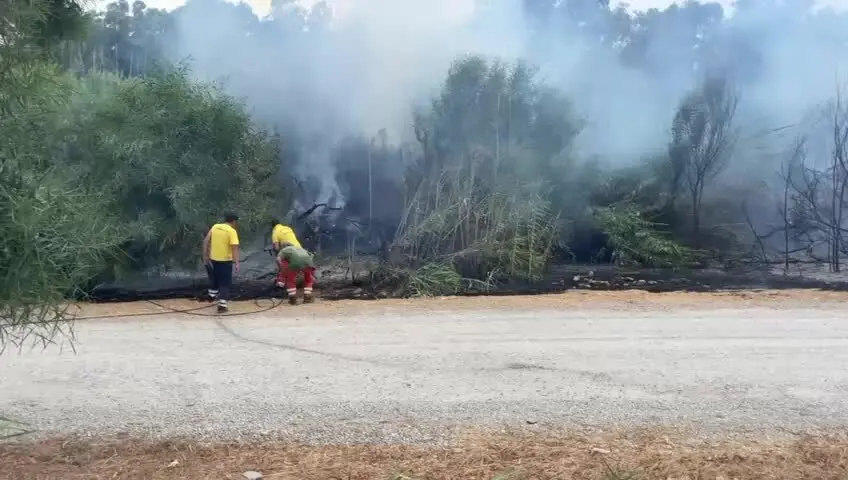 Pineta in fiamme a Villapiana Scalo