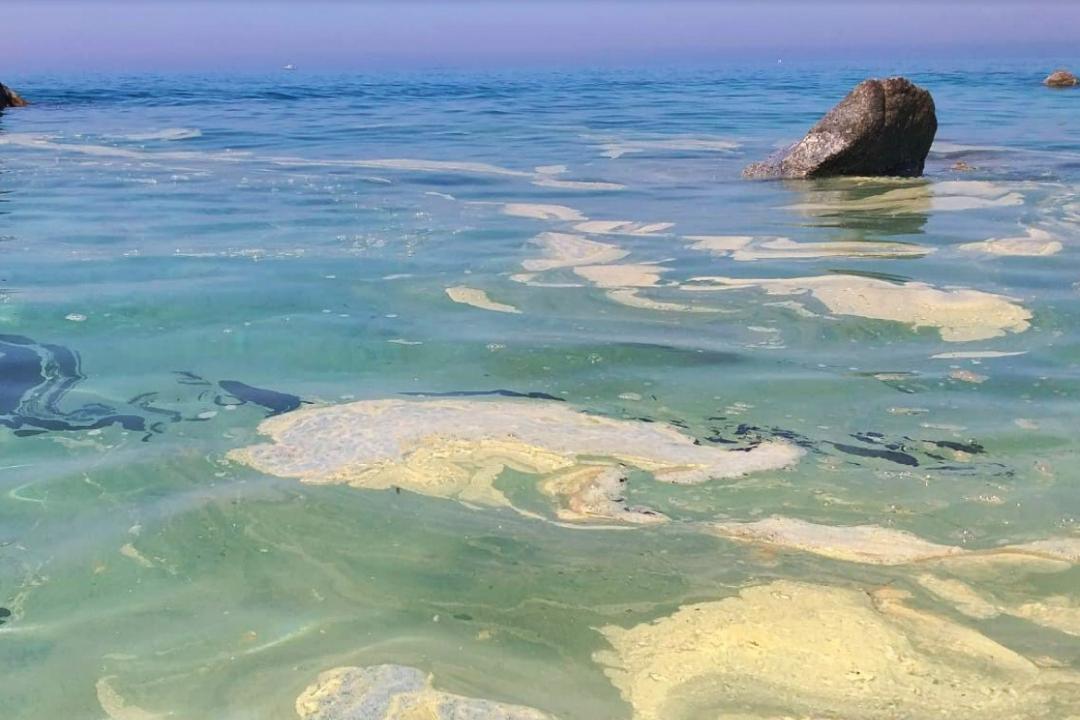 «Mare azzurro a chiazze gialle», la segnalazione dalla spiaggia di ...