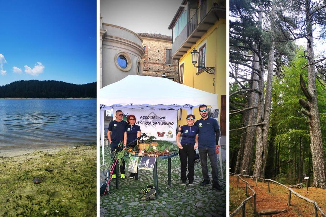 Trekking, “Vivi Serra San Bruno” alla scoperta dei “giganti” della Sila