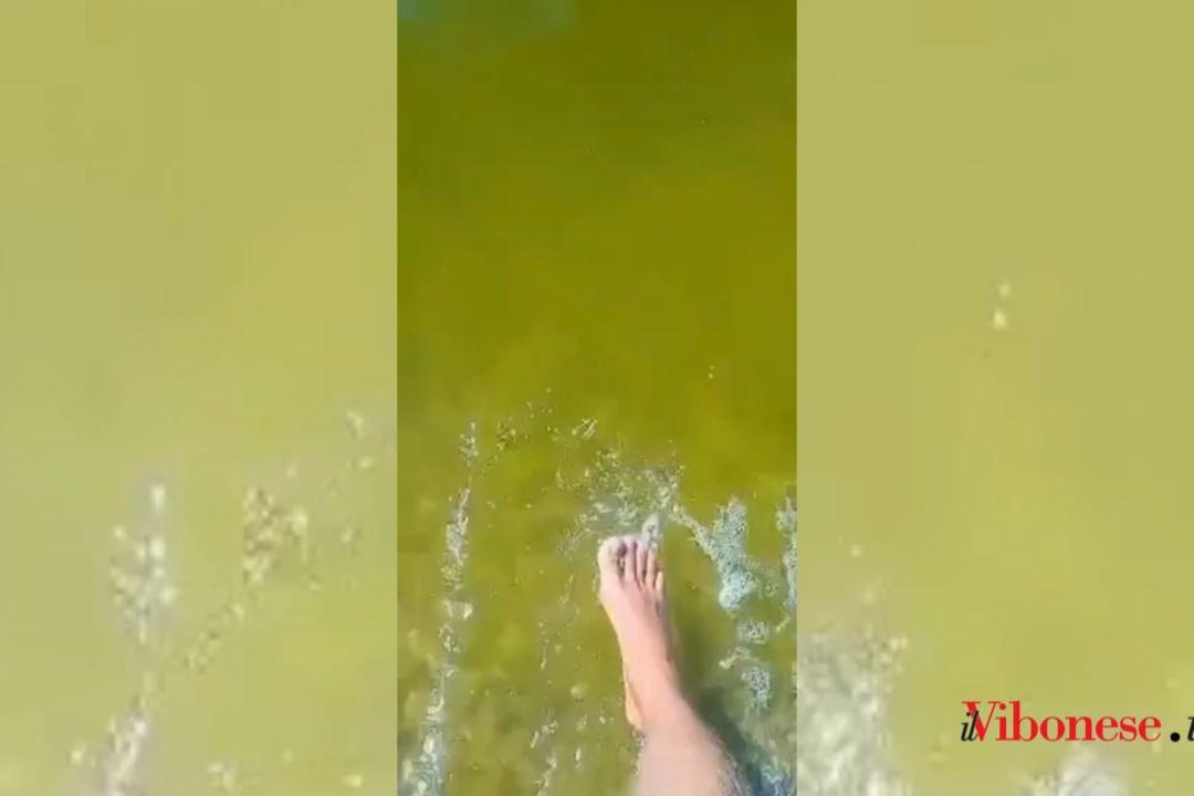 Mare verde, Ferragosto rovinato sul litorale di Pizzo: «Mai vista una ...