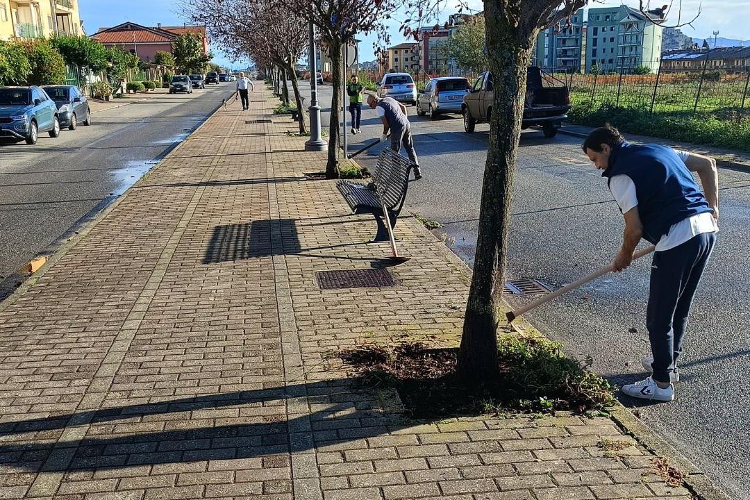 Vibo, le aiuole di viale Saragat ripulite dai volontari dell ...