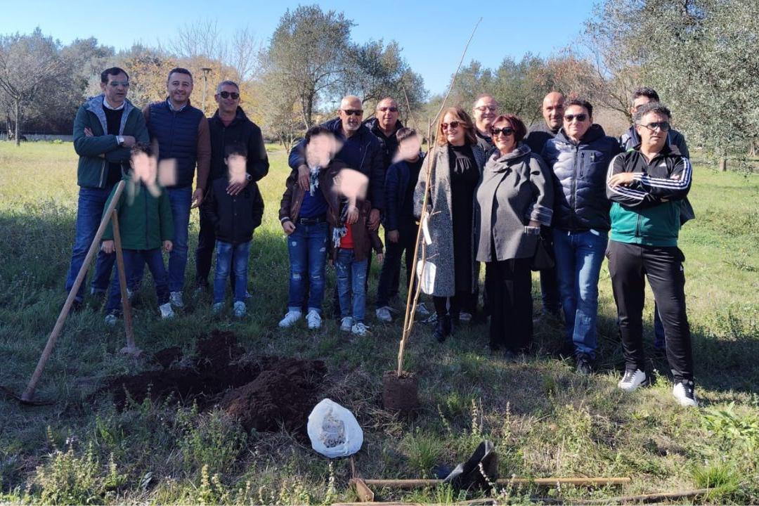 Vibo: dopo il successo della Festa dell'Albero l'associazione Moderata ...
