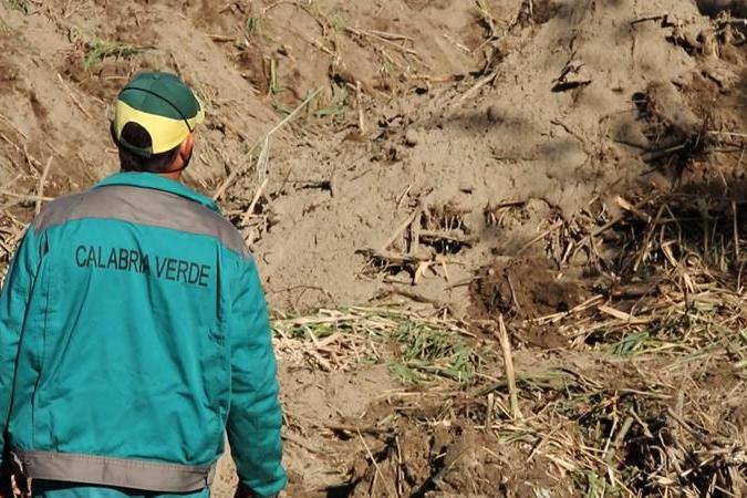 Calabria Verde “taglia” gli operai a Nardodipace e Fabrizia, protestano ...