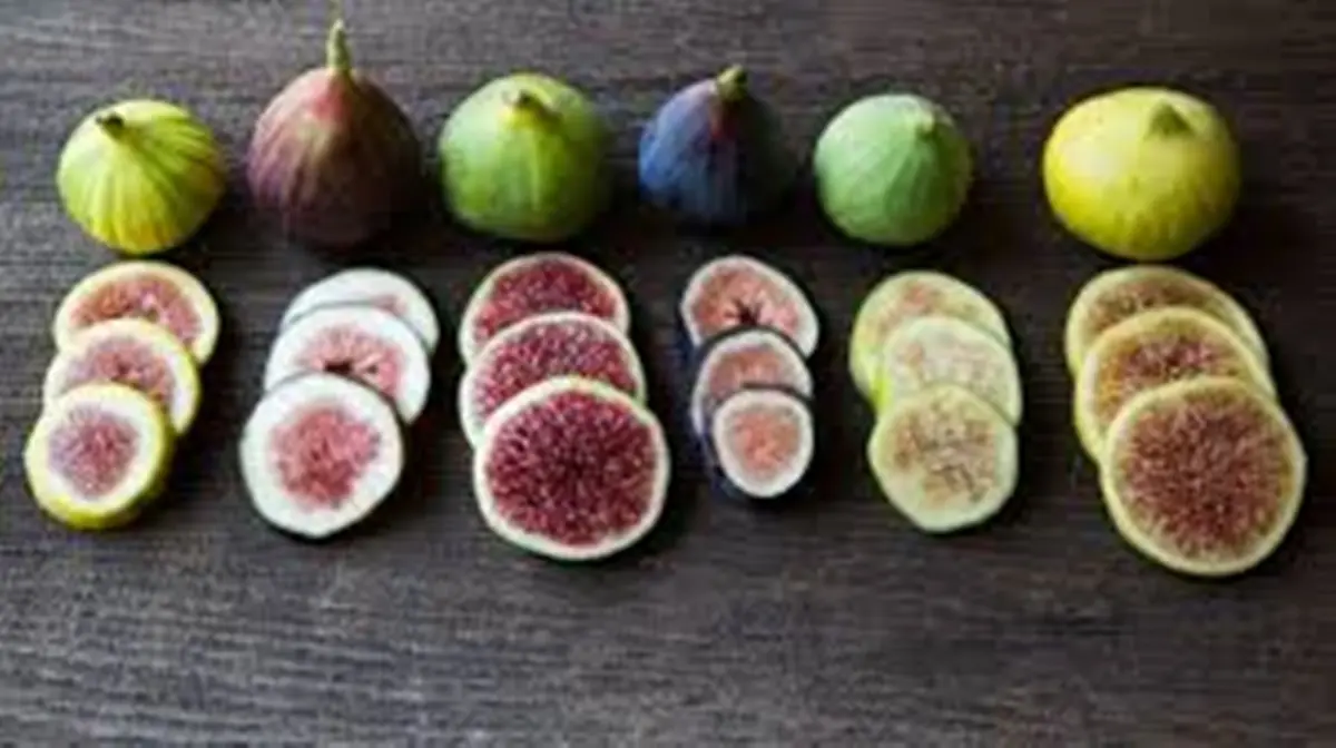DE GUSTIBUS| Il fico “dottato” di Calabria. Sapore e benessere dal ...