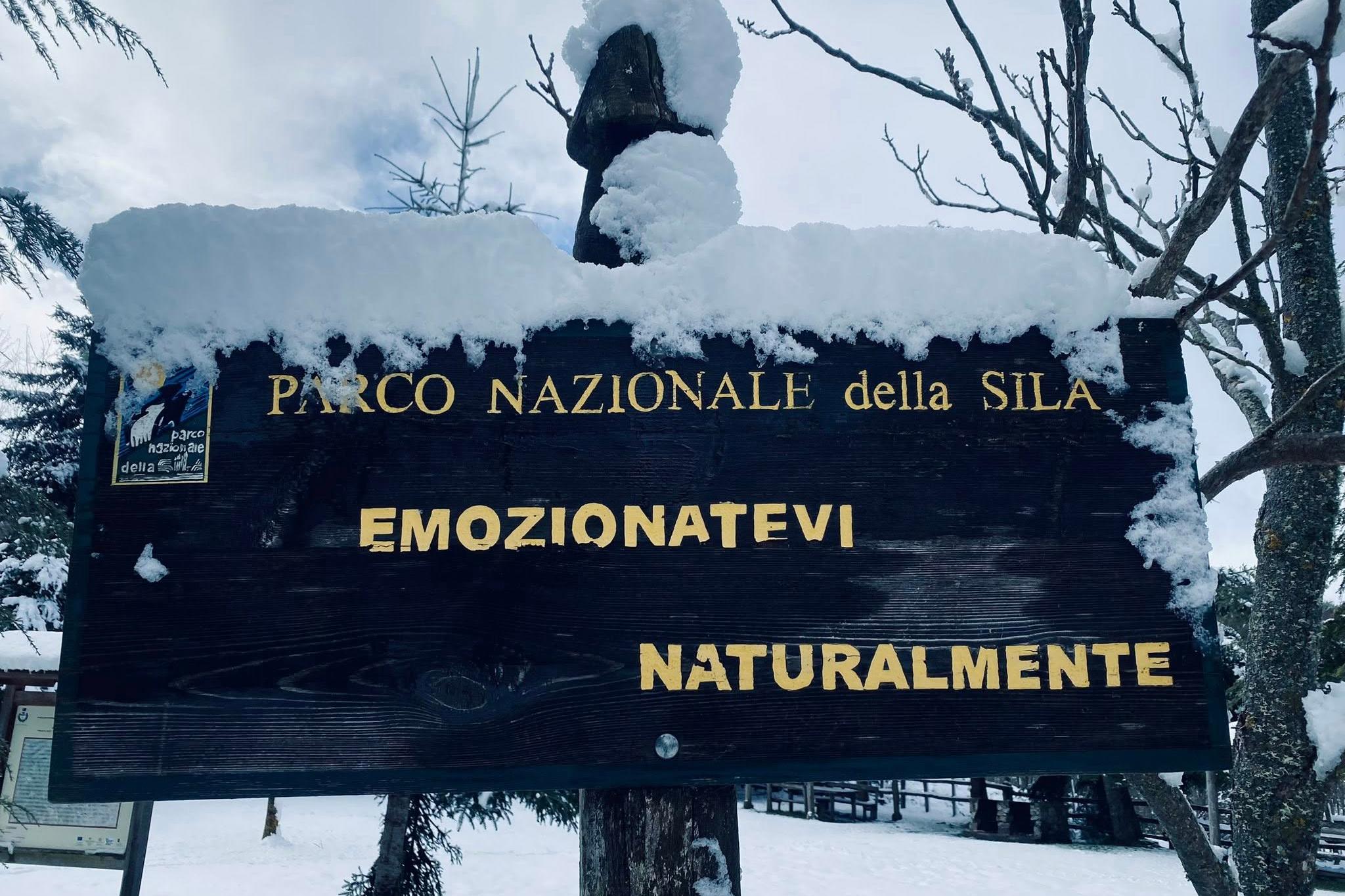 La Sila oggi saluta l’inverno. Finisce la stagione che ha ridato ...