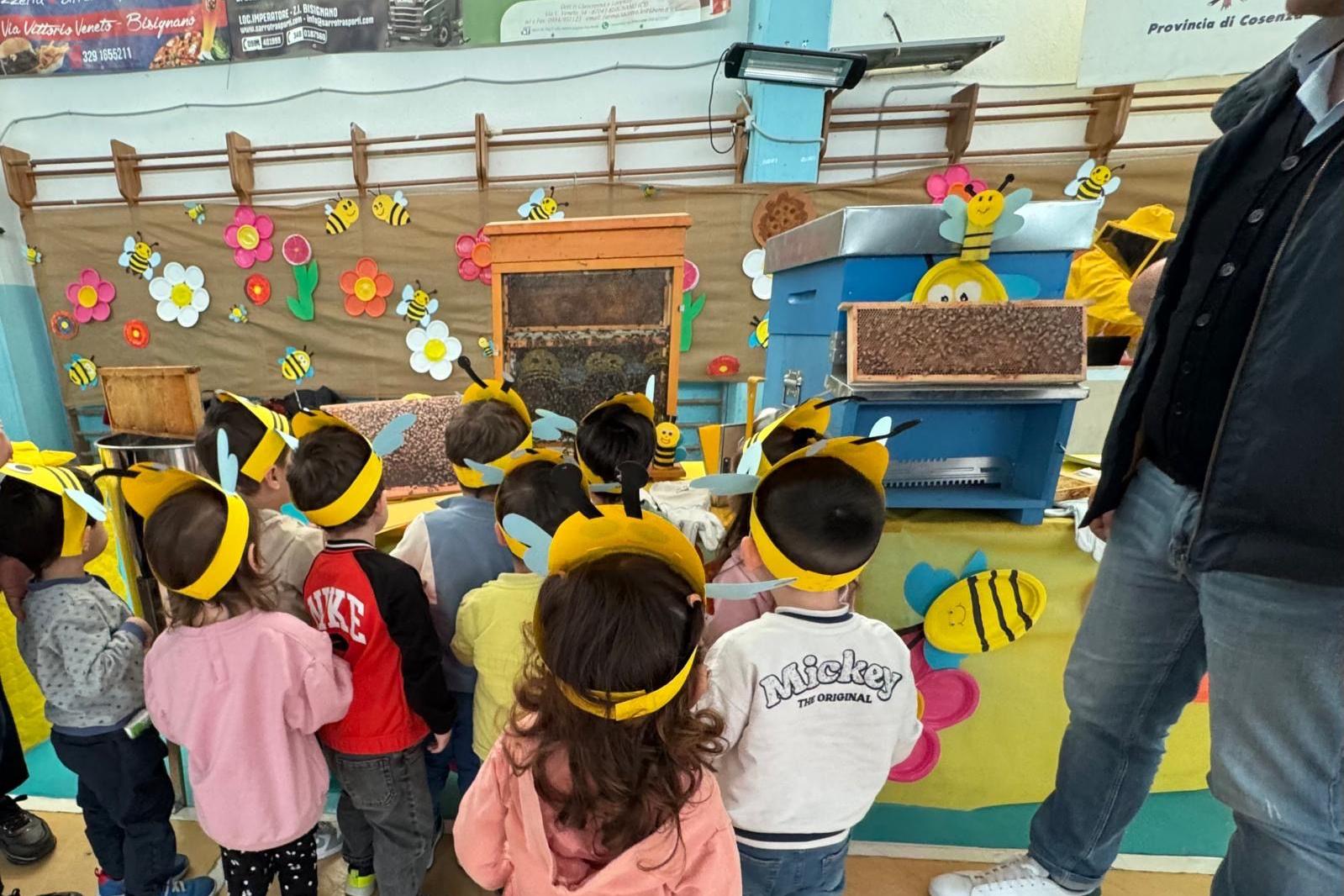 Bisignano, le api insegnano collaborazione ai bambini