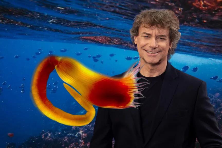 Una nuova specie marina scoperta nelle acque del Salento: i ricercatori ...